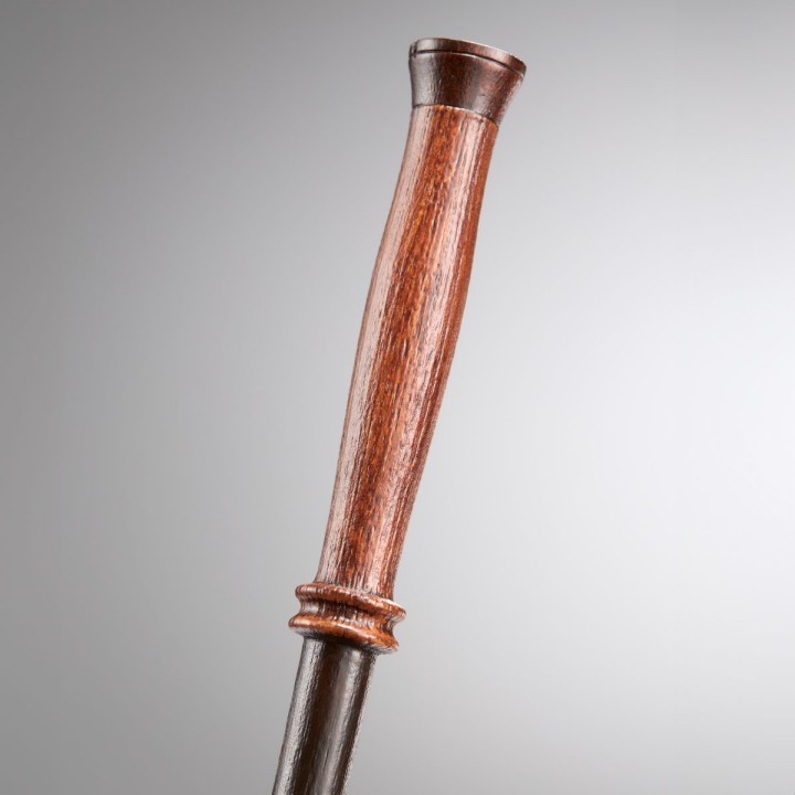 Harry Potter First Wands Noble Collection